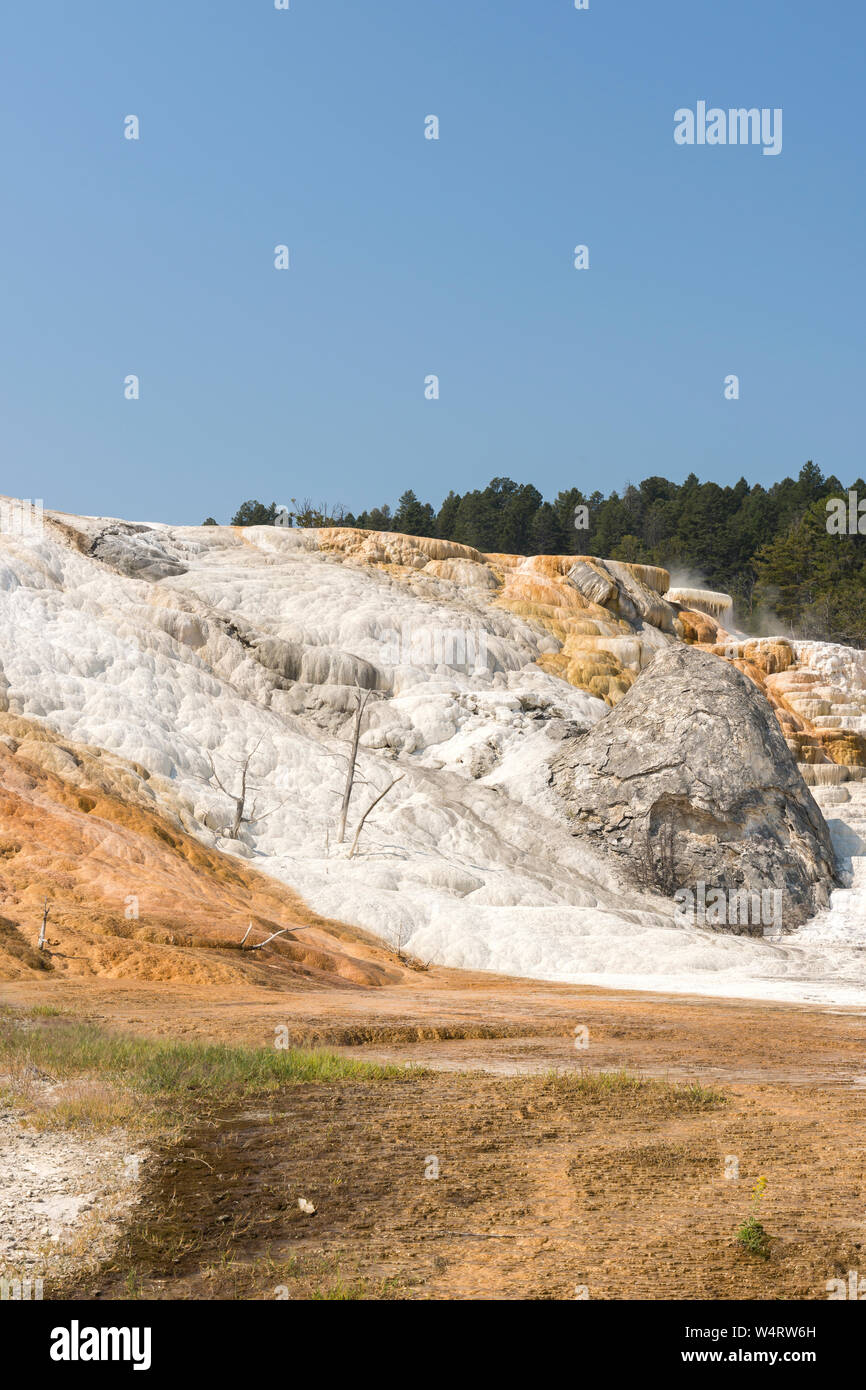 thermal springs and limestone formations at mammoth hot springs in ...