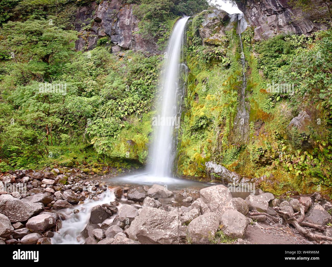 Hdr View Of The Dawson Falls Taranaki National Park New Zealand Stock