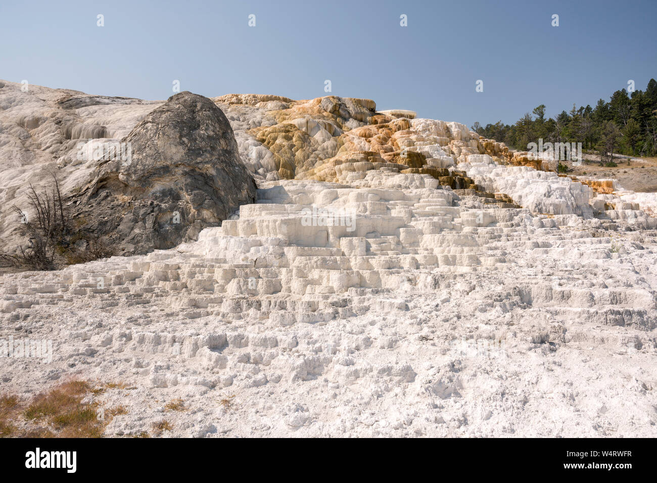 thermal springs and limestone formations at mammoth hot springs in ...