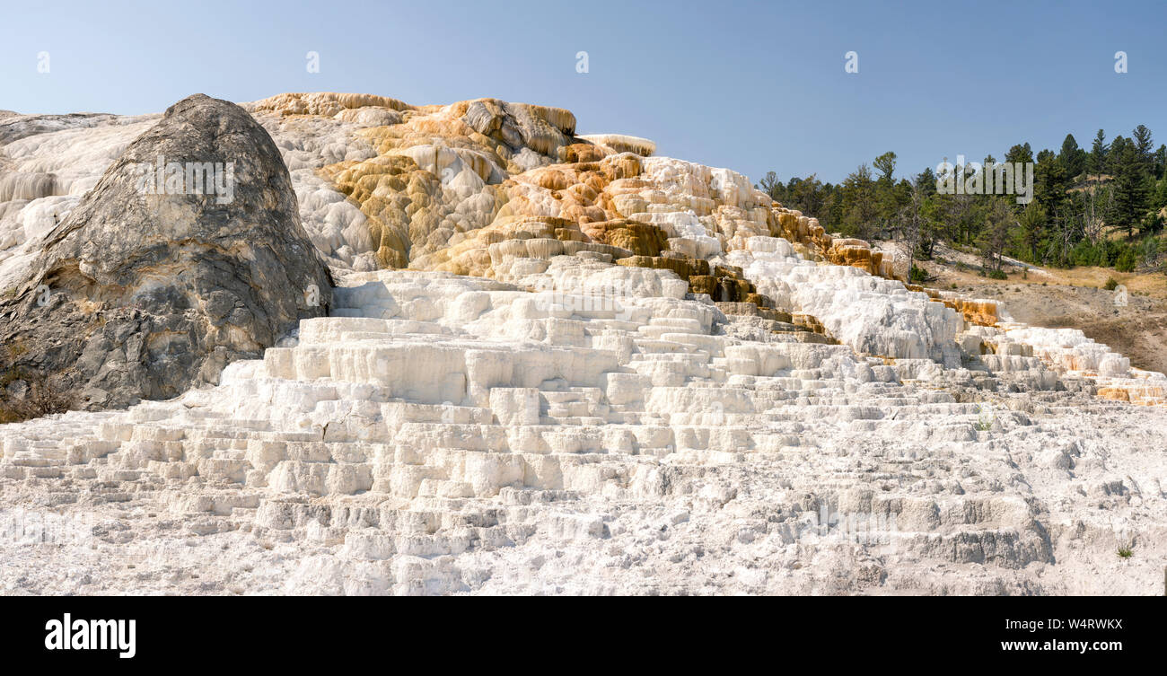 thermal springs and limestone formations at mammoth hot springs in ...