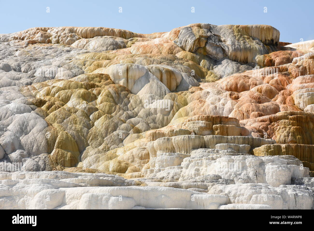 thermal springs and limestone formations at mammoth hot springs in ...