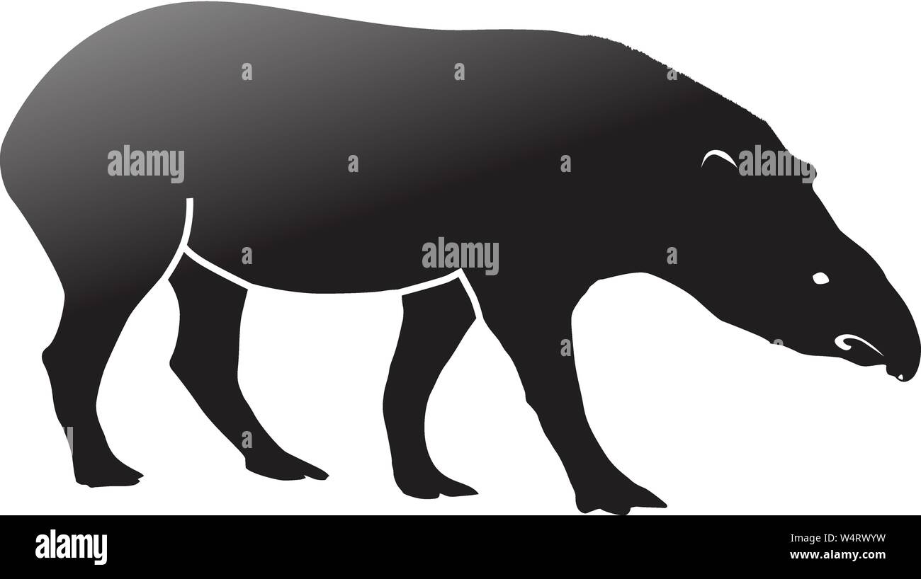 Amazon ecuador wild life Stock Vector Images - Alamy