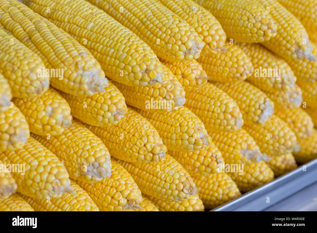 Corn on a tray hi-res stock photography and images - Alamy