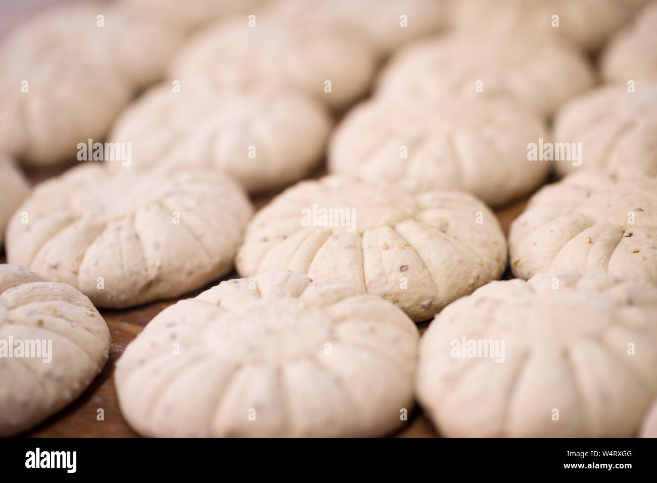 balls of dough bread getting ready to be baked at professional bakery ...