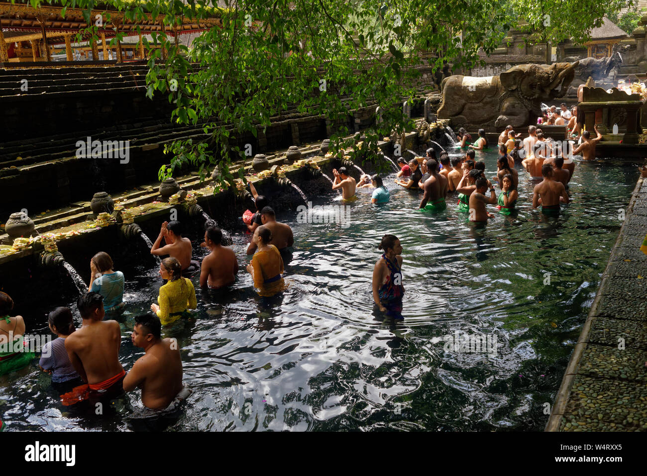 Devotees and tourists in the waters of the Tirtha Empul Templ,e or Holy ...