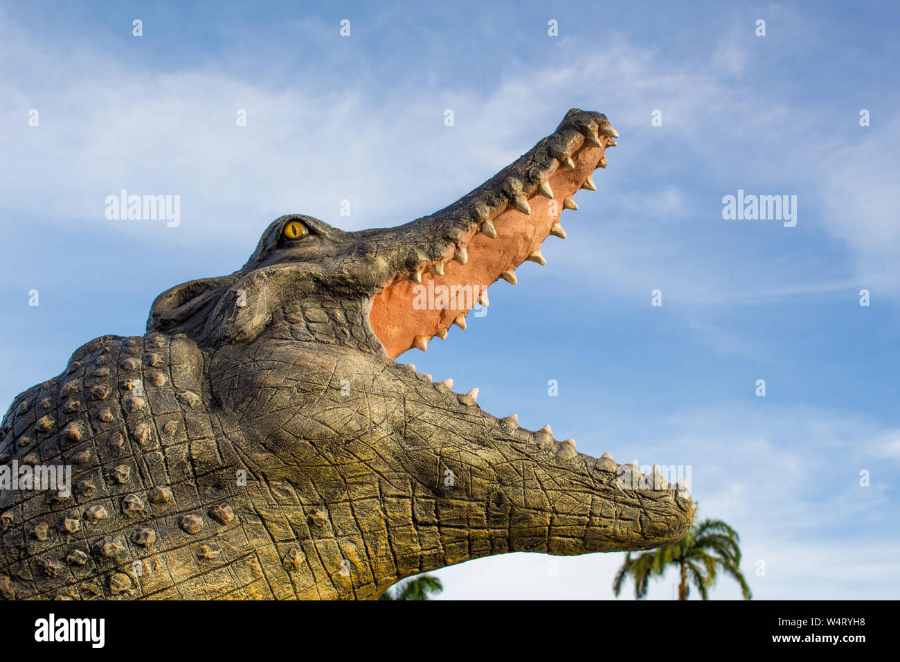 Pink crocodile hi-res stock photography and images - Alamy