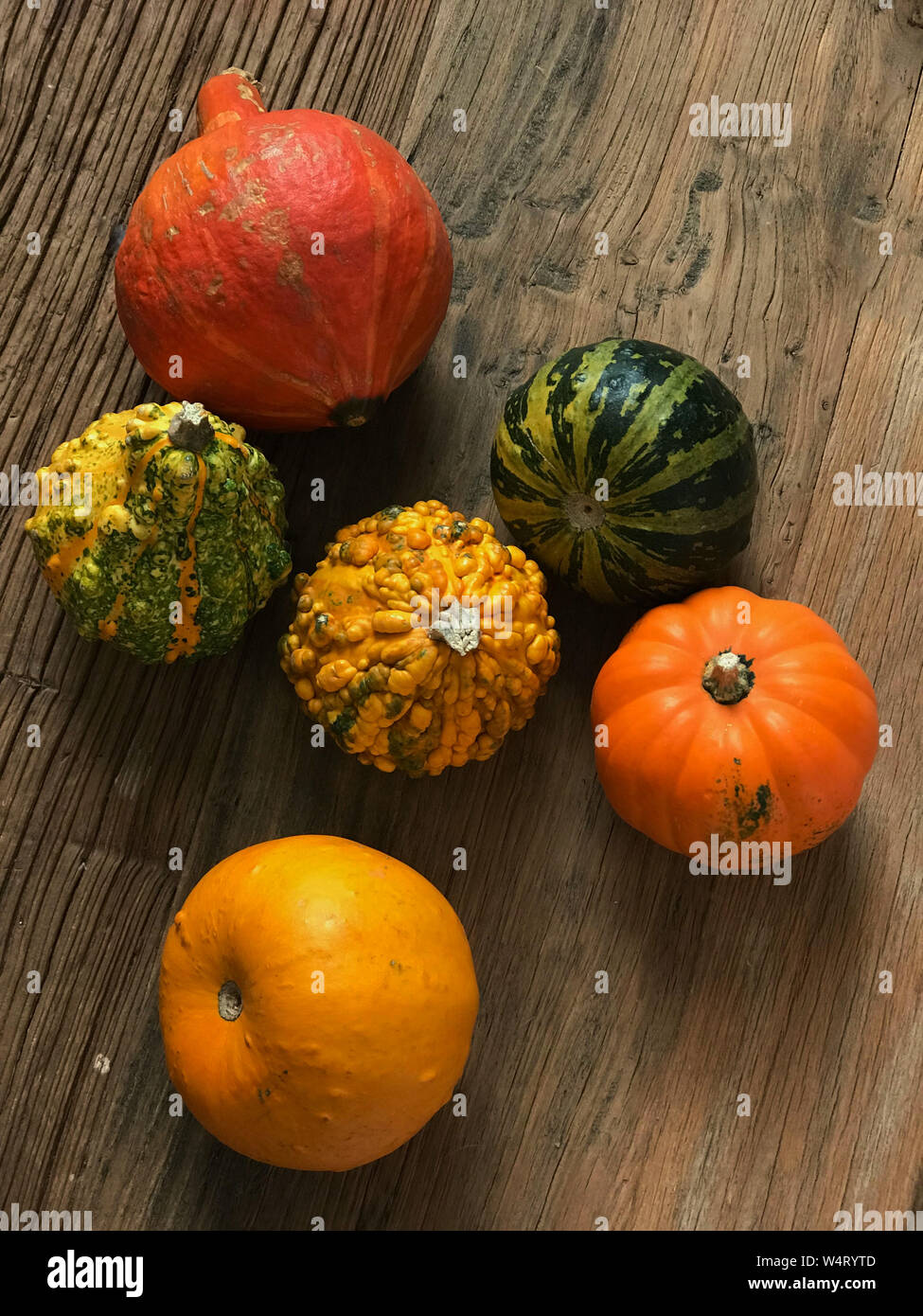 Six pumpkins on a table Stock Photo - Alamy