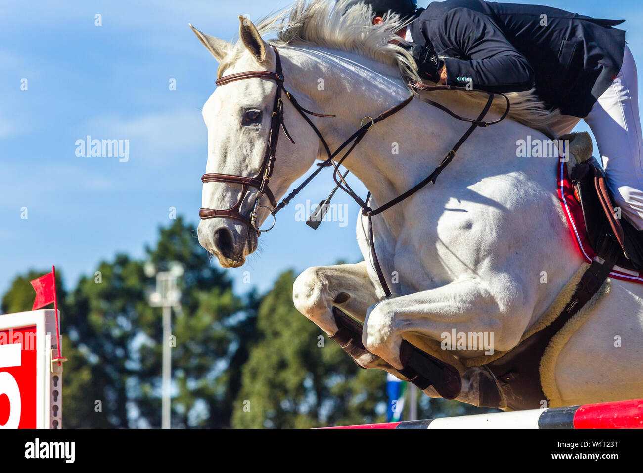 Equestrian show jumping hi-res stock photography and images - Alamy