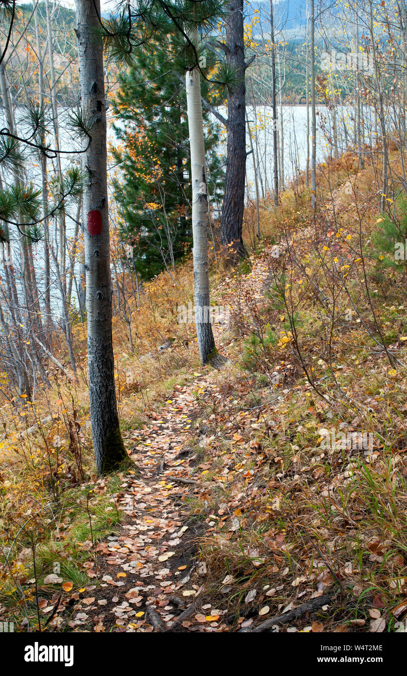 Lake Baikal Russia, hiking trail with autumn leaves at Snake Bay Stock ...