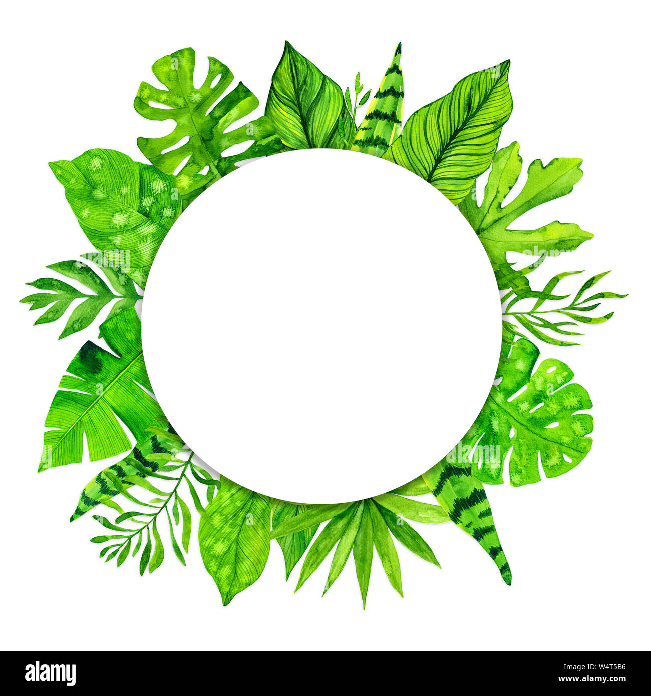Jungle leaves frame hi-res stock photography and images - Alamy