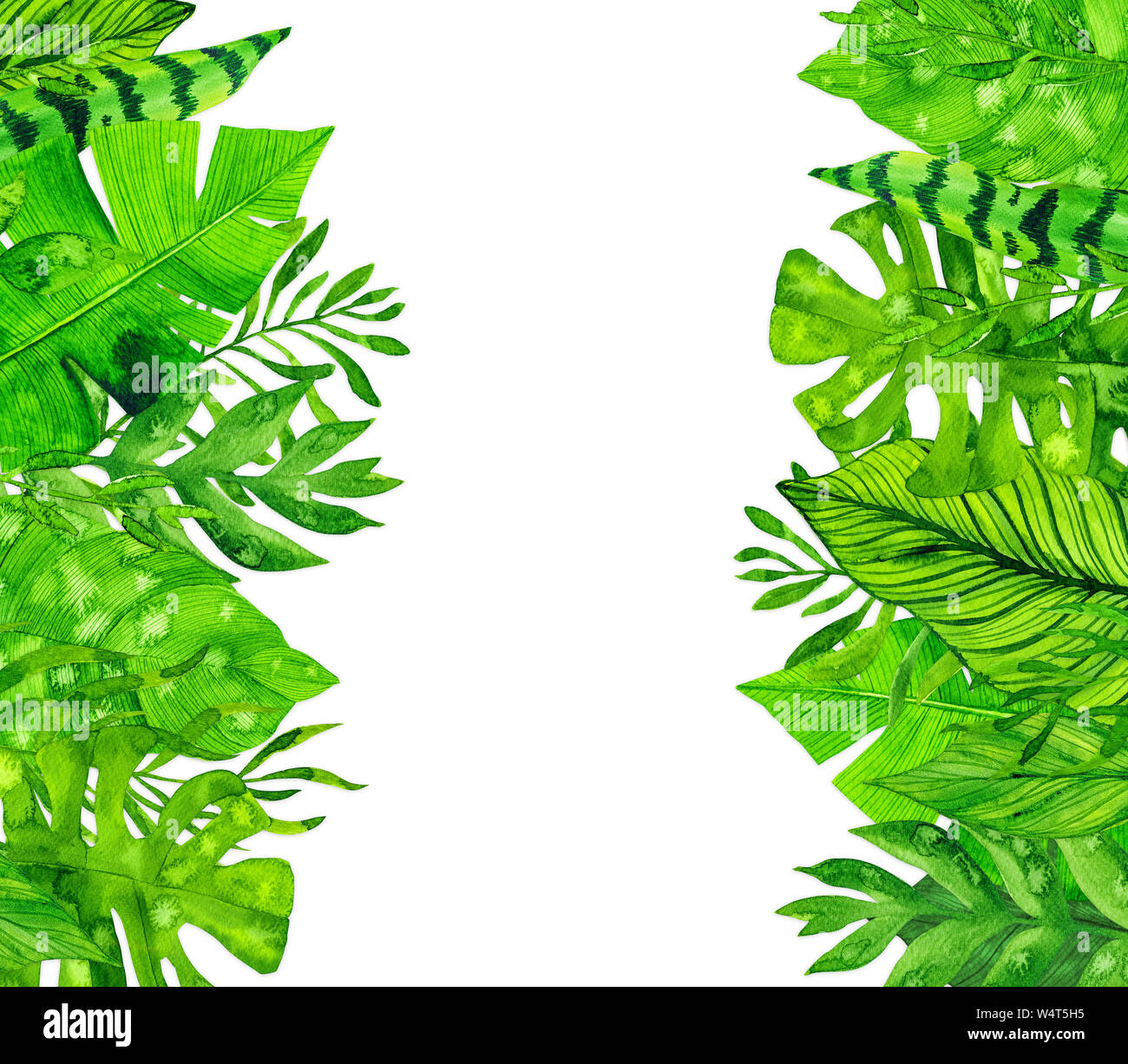 Jungle leaves frame hi-res stock photography and images - Alamy