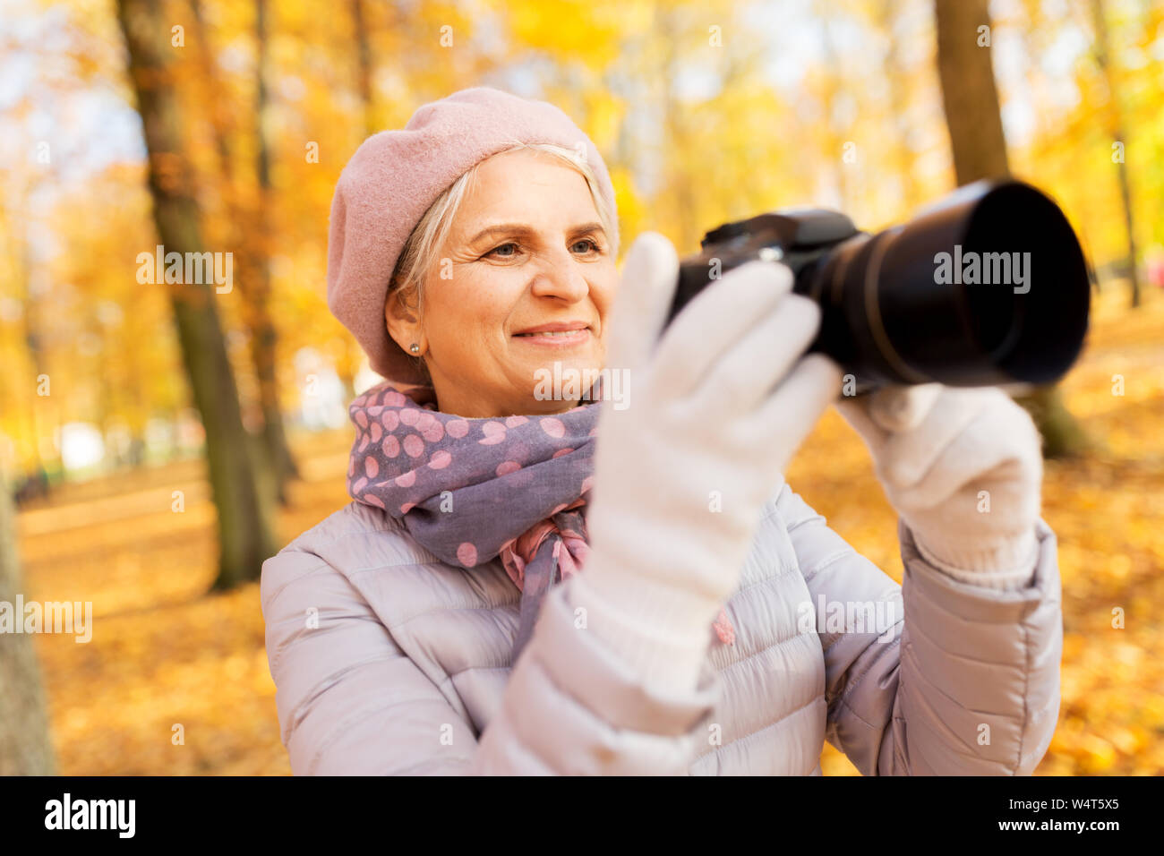 senior woman with photo camera at autumn park Stock Photo - Alamy