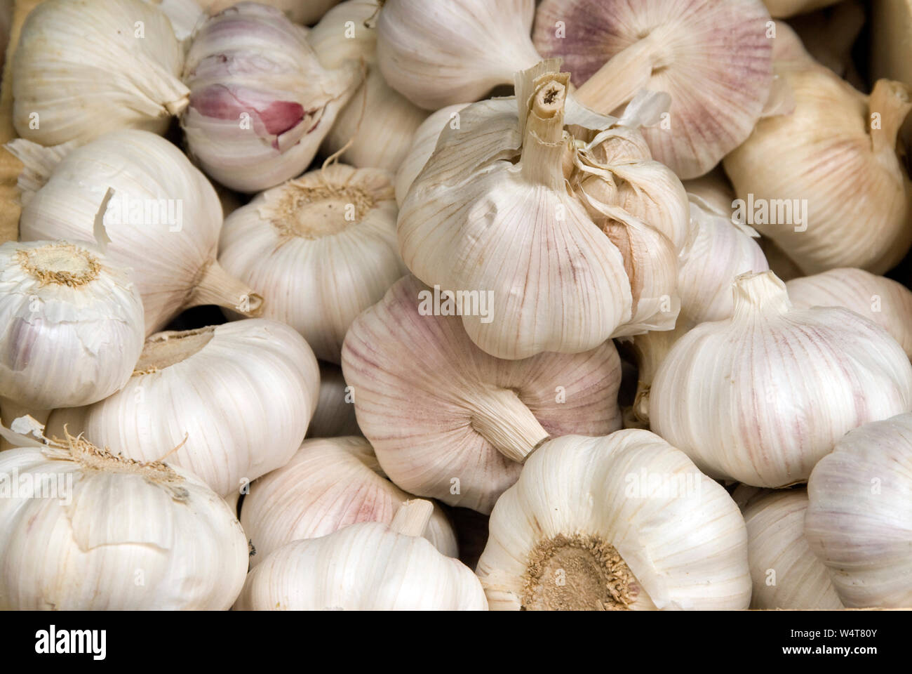 Cloves of dry garlic taken up close Stock Photo - Alamy