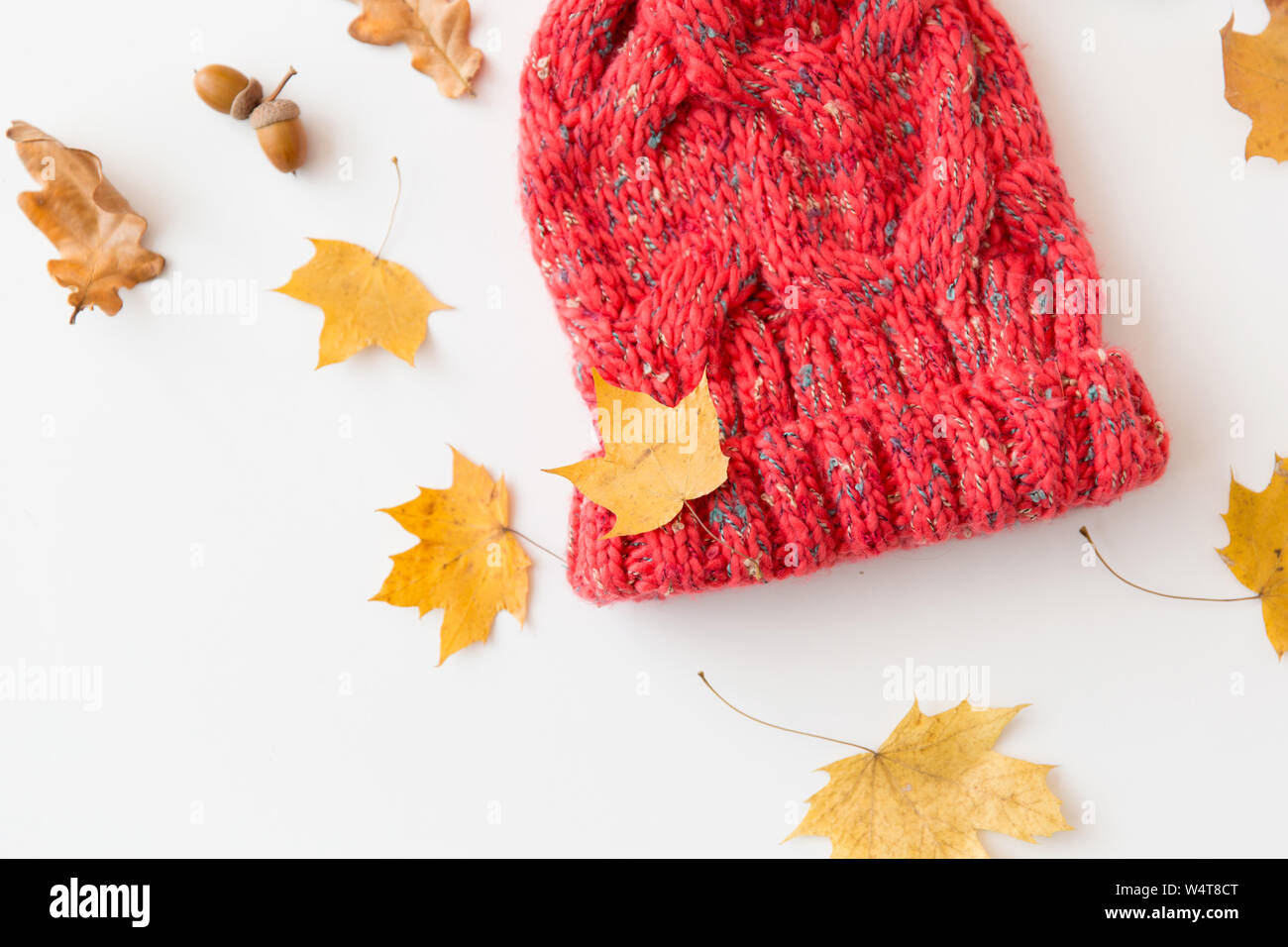 hat and fallen autumn leaves on white background Stock Photo - Alamy
