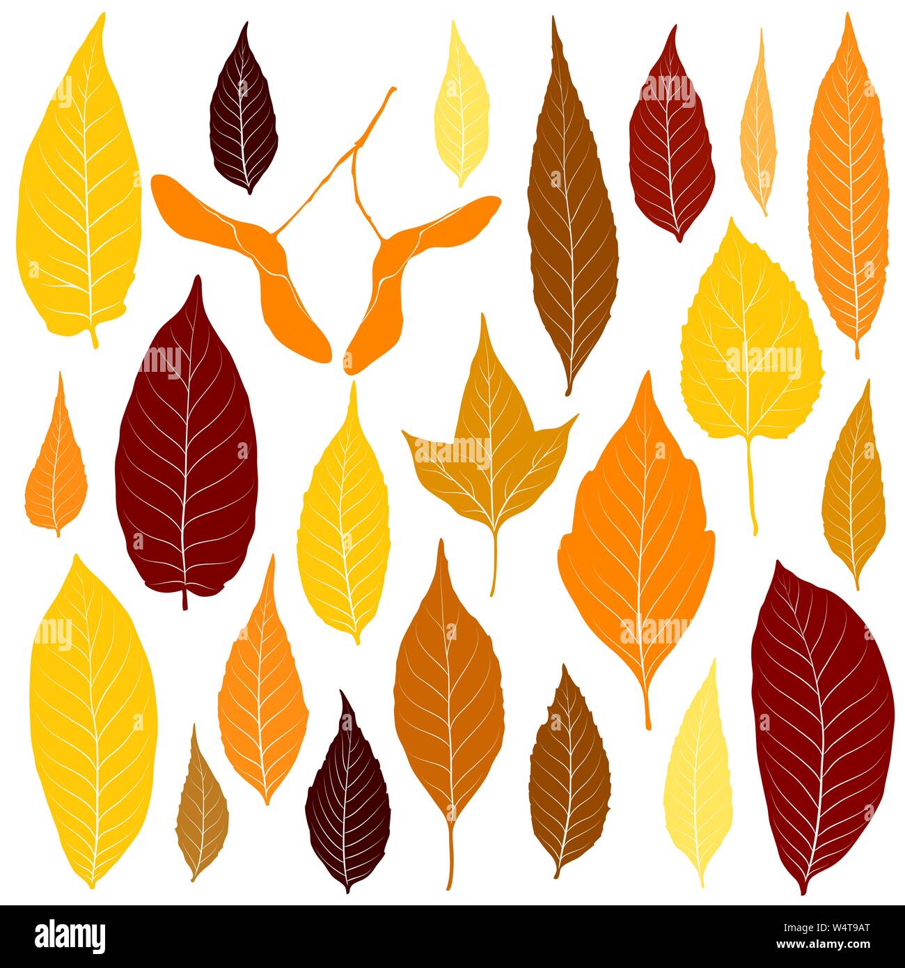 Colorful autumn leaves set on white background vector Stock Vector ...