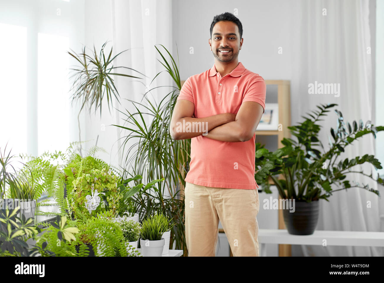 Indian home houseplants hi-res stock photography and images - Alamy