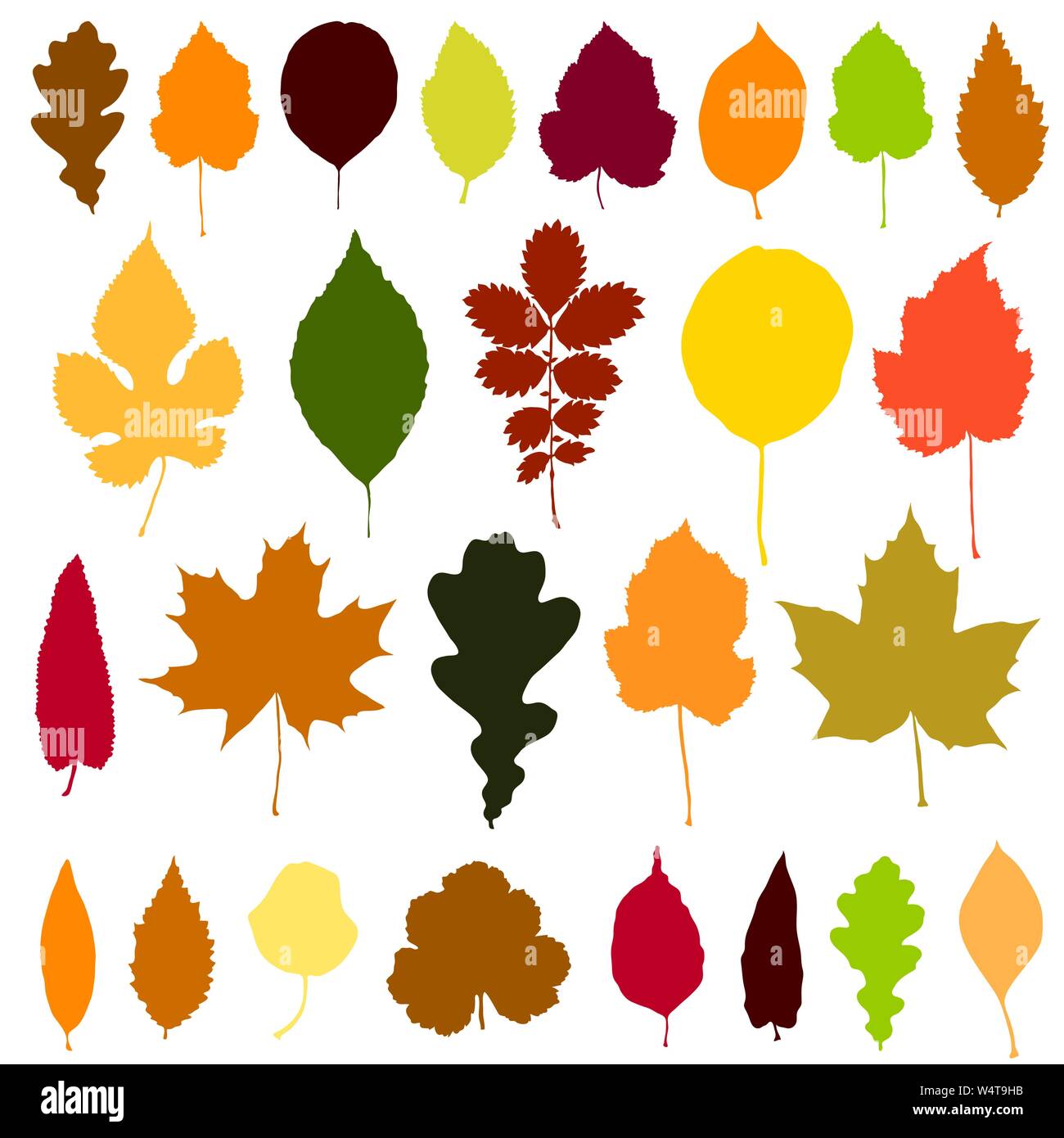 Colorful autumn leaves set on white background vector Stock Vector ...