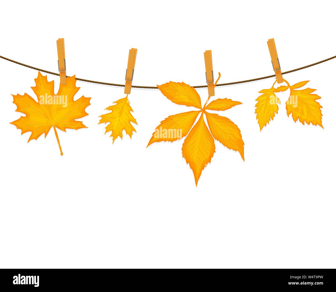 Autumn leaves vector background Stock Vector Image & Art - Alamy