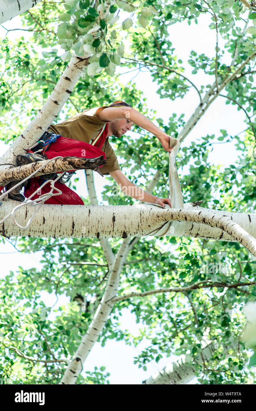 Man climbs the tree hi-res stock photography and images - Alamy