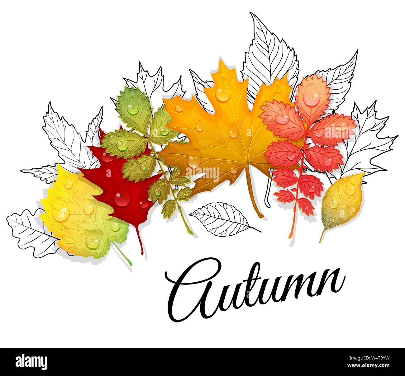 Set of colorful leaves vector Stock Vector Image & Art - Alamy