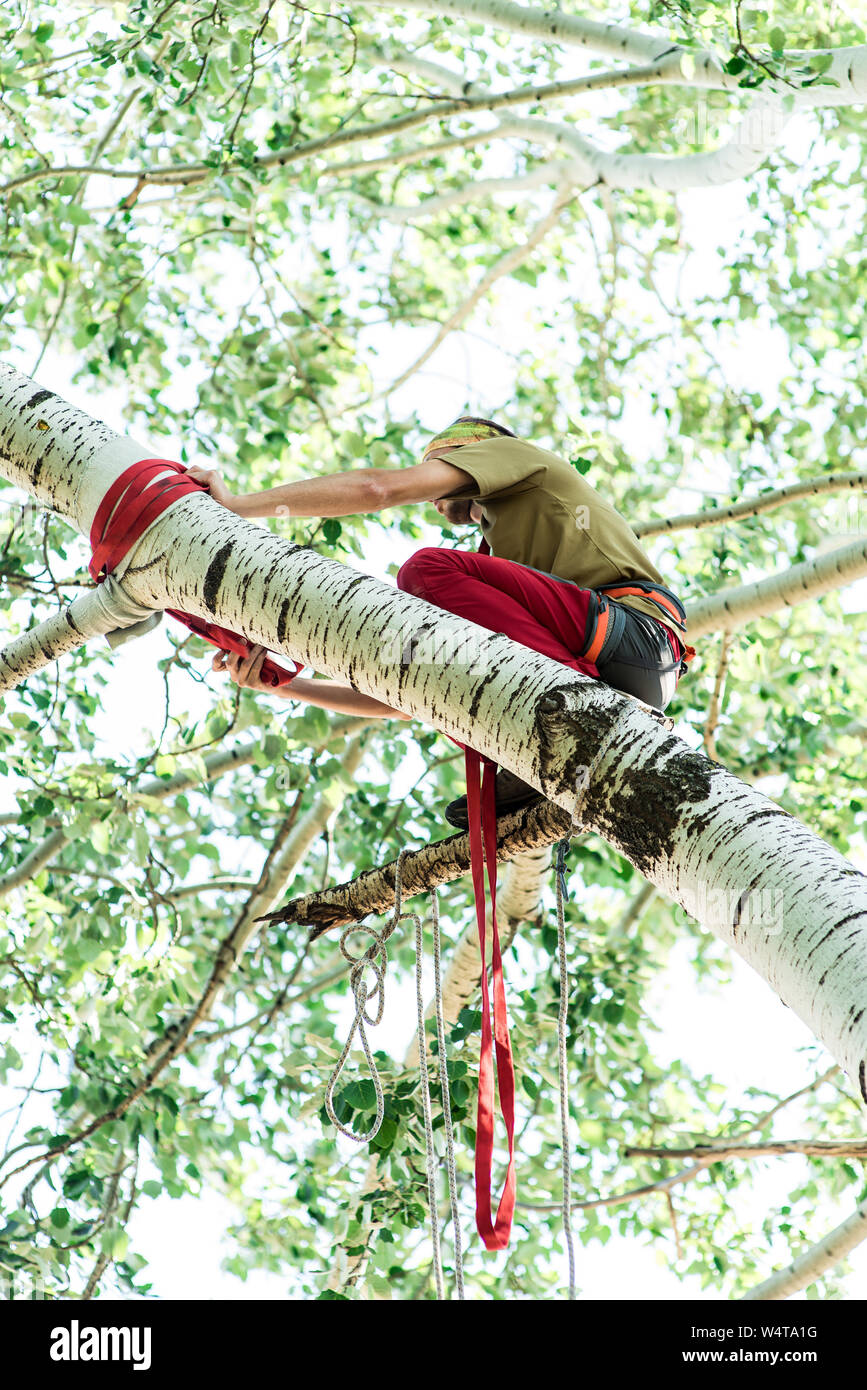 Man climbs the tree hi-res stock photography and images - Alamy