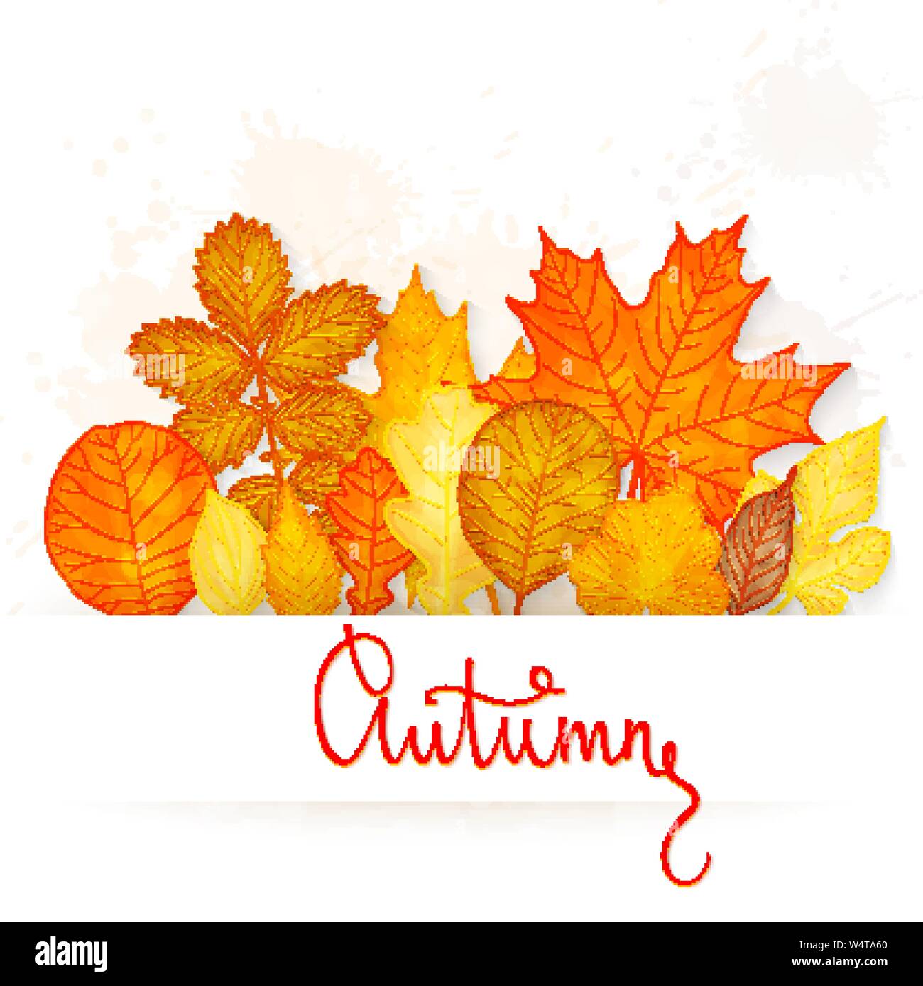 Autumn leaves background collection Stock Vector Images - Alamy