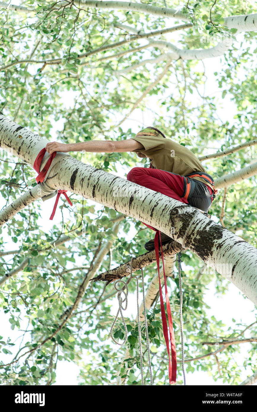 Man climbs the tree hi-res stock photography and images - Alamy