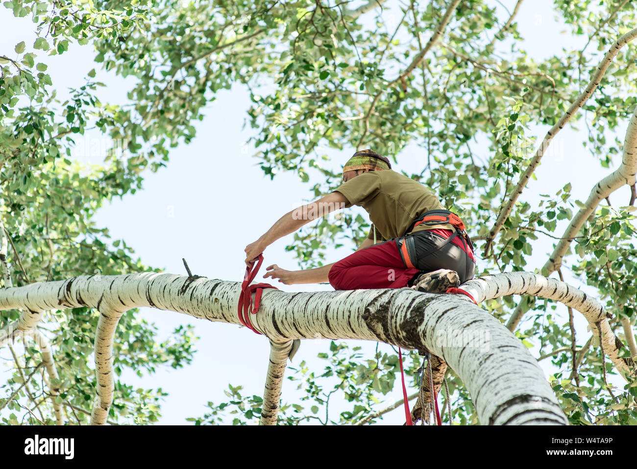 Man climbs the tree hi-res stock photography and images - Alamy