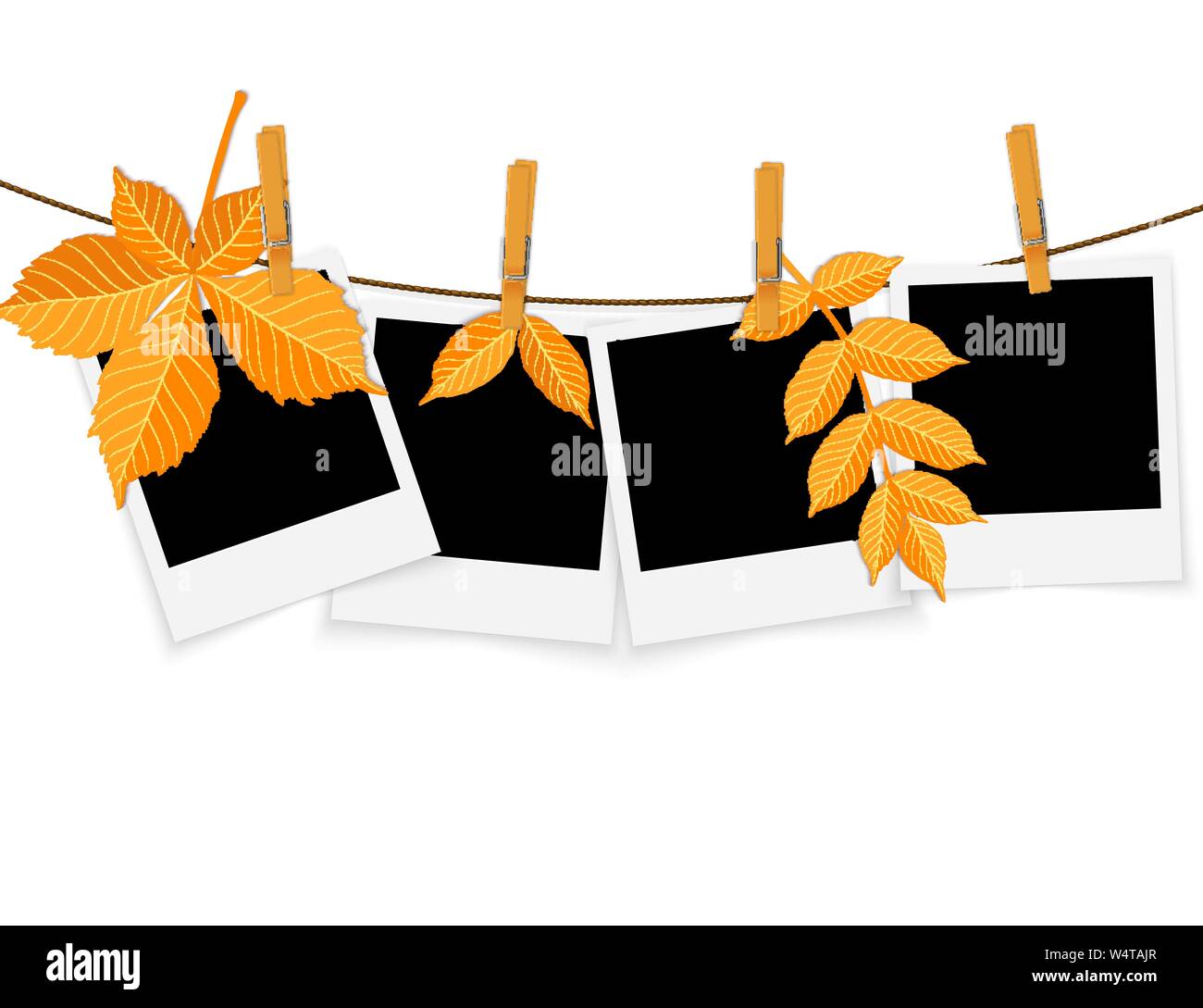 Photo frames on rope with clothespins and autumn leaves vector Stock ... Photo frames on rope with clothespins and autumn leaves vector Stock ...