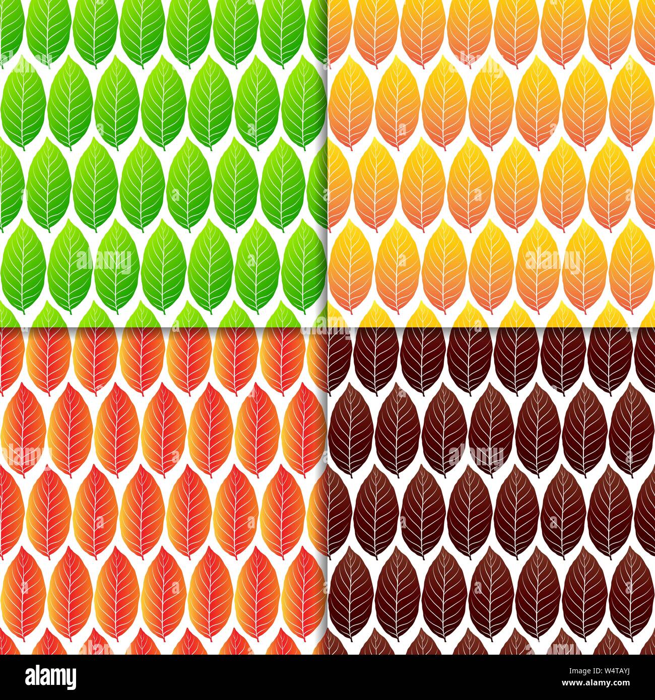 Set of colorful leaves seamless patterns vector Stock Vector Image ...