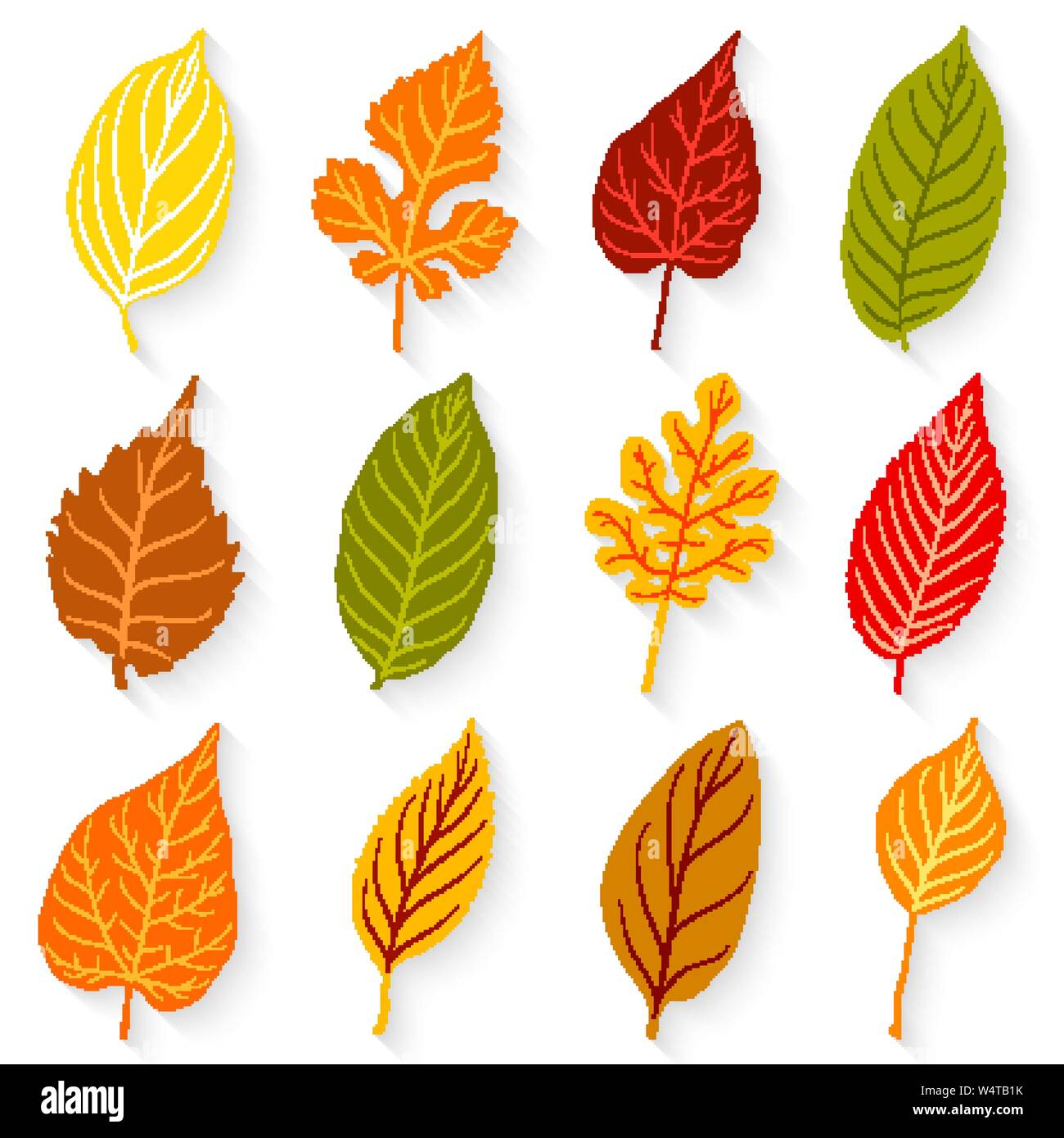 Colorful leaves set on white background vector Stock Vector Image & Art ...