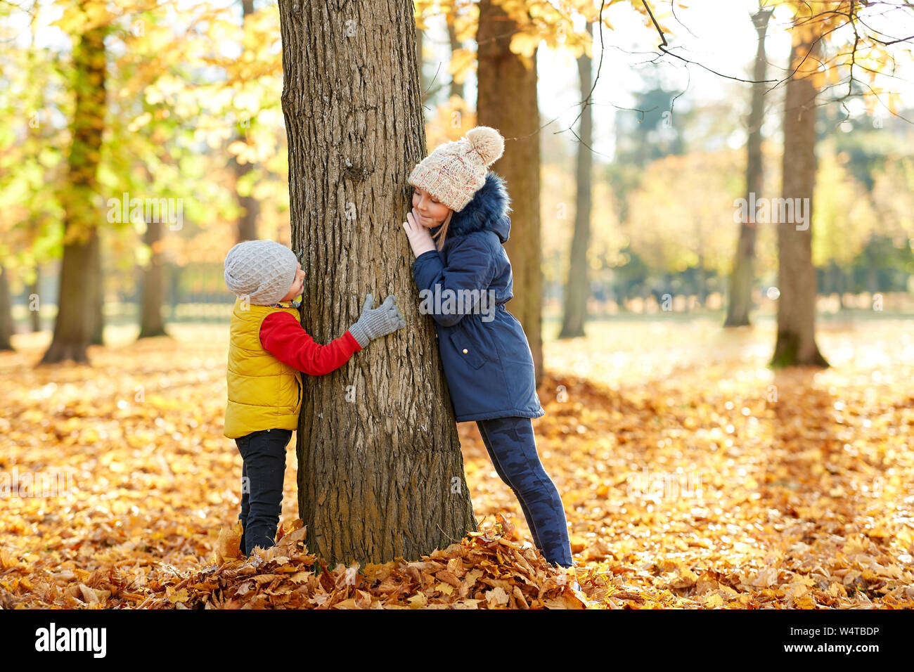happy children at tree trunk in autumn park Stock Photo - Alamy
