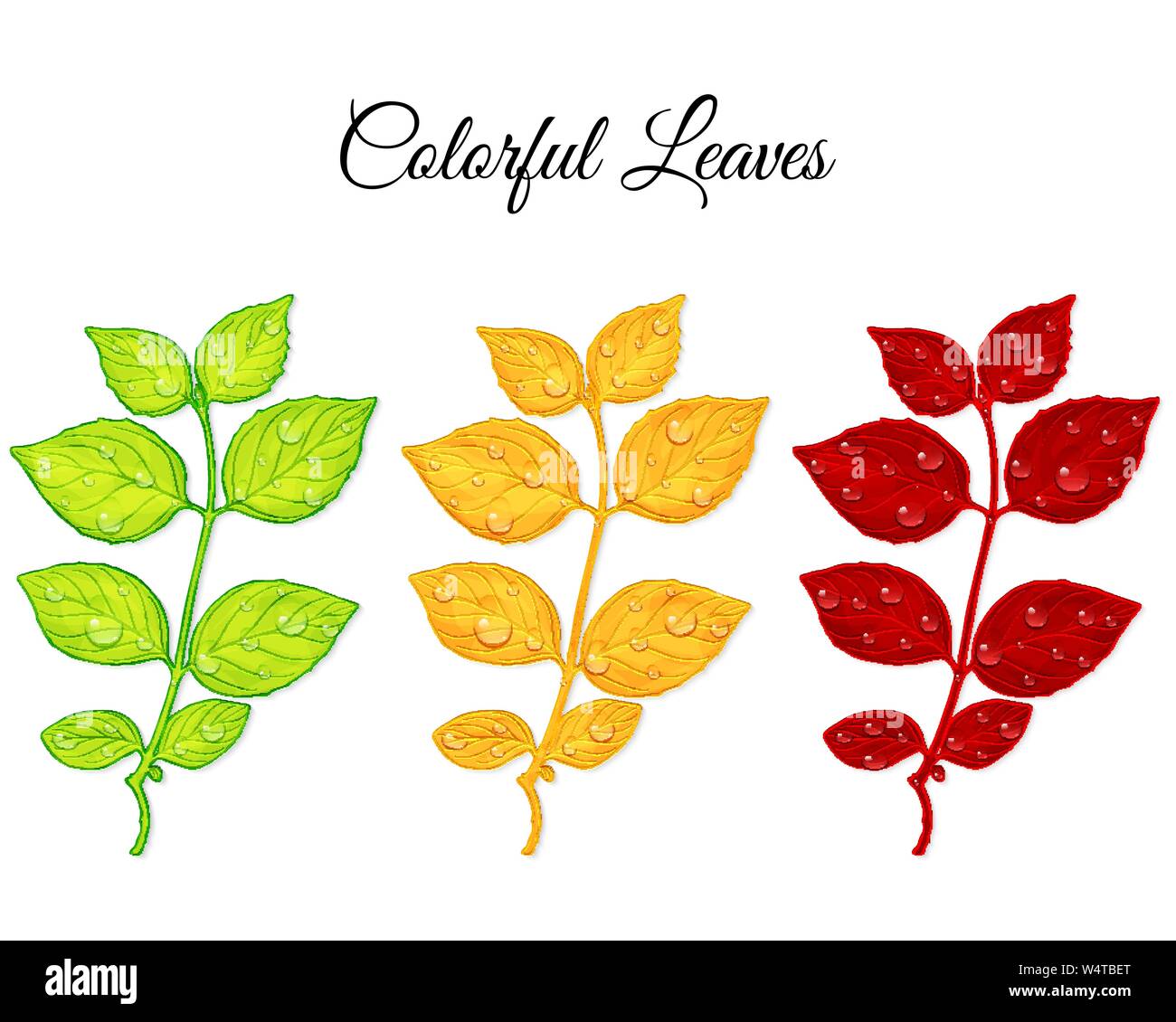 Colorful leaves vector set Stock Vector Image & Art - Alamy