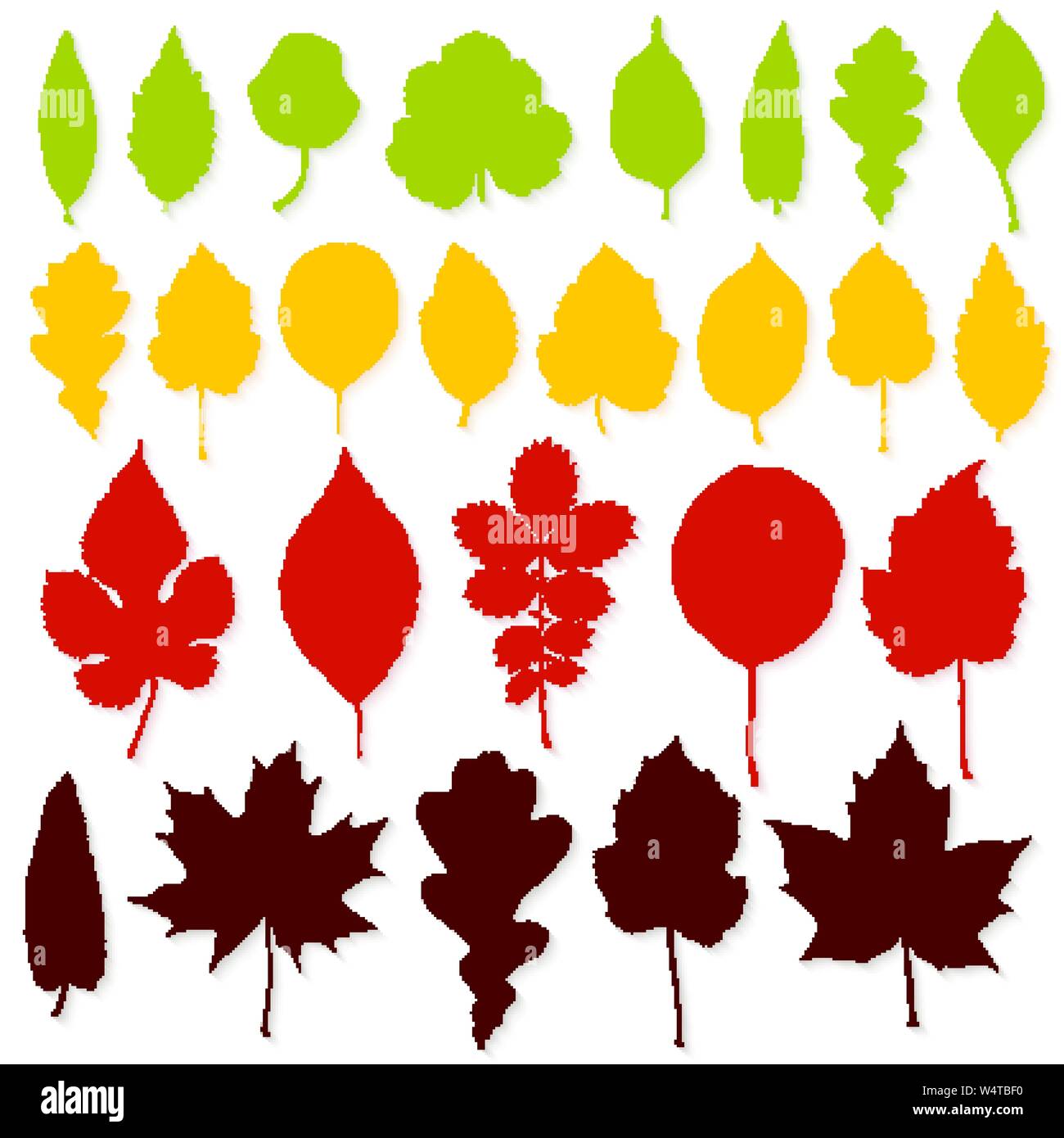 Colorful leaves set on white background vector Stock Vector Image & Art ...