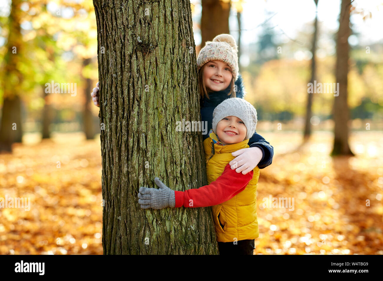 happy children peeking out tree at autumn park Stock Photo - Alamy
