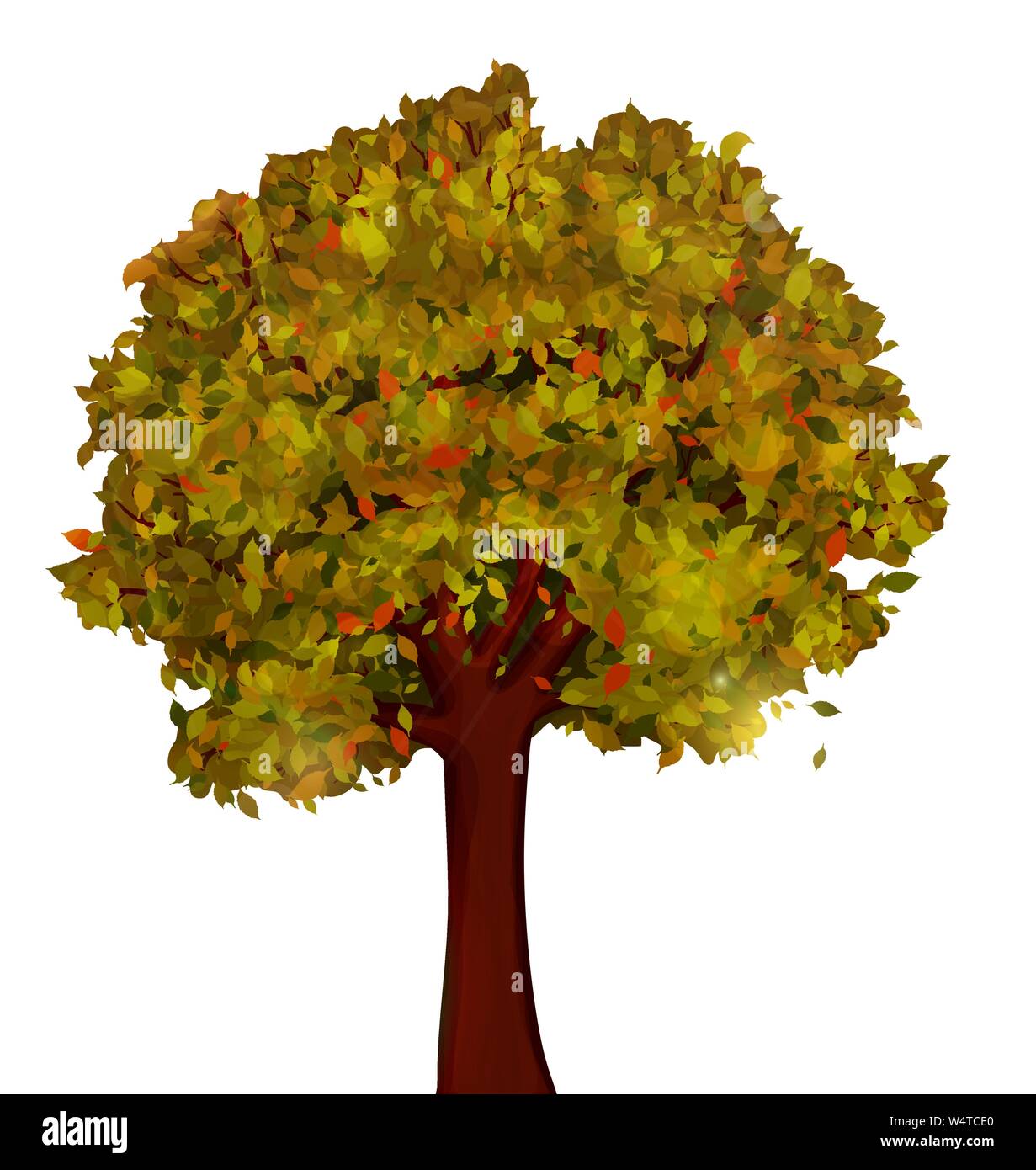 Autumn tree vector Stock Vector Image & Art - Alamy