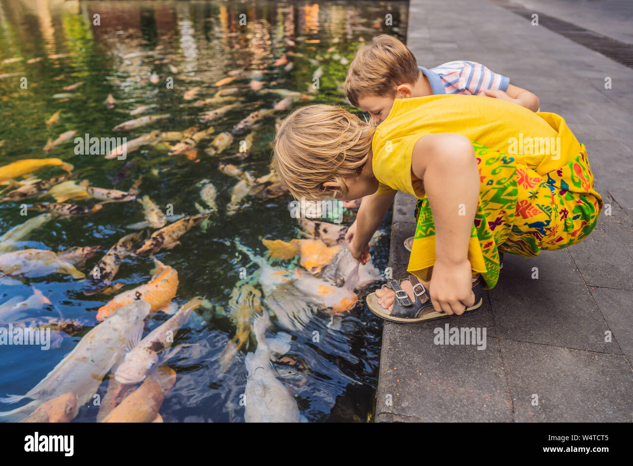 Boy aquarium feed fish hi-res stock photography and images - Alamy