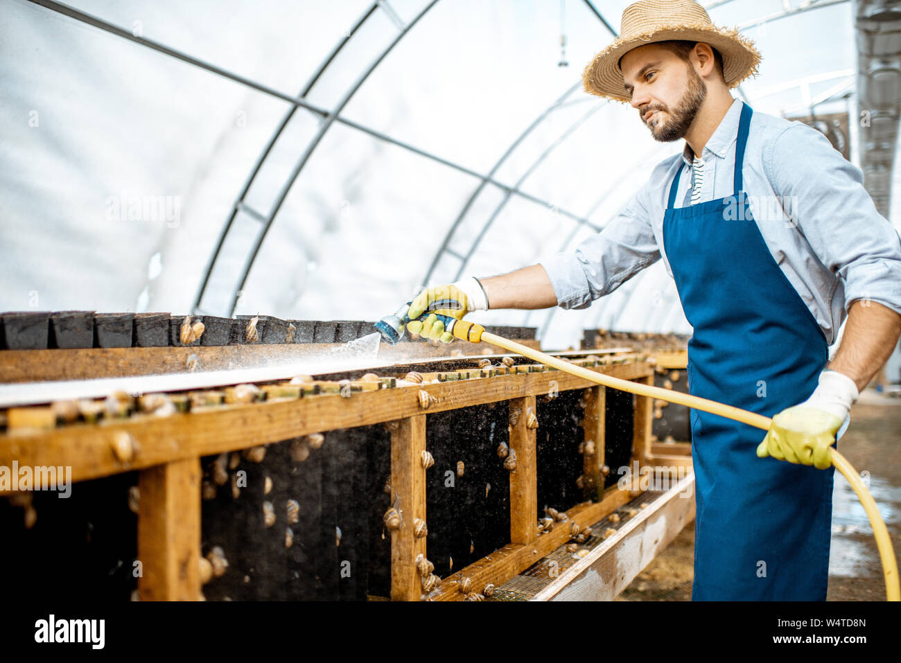 Man eating snails hi-res stock photography and images - Alamy