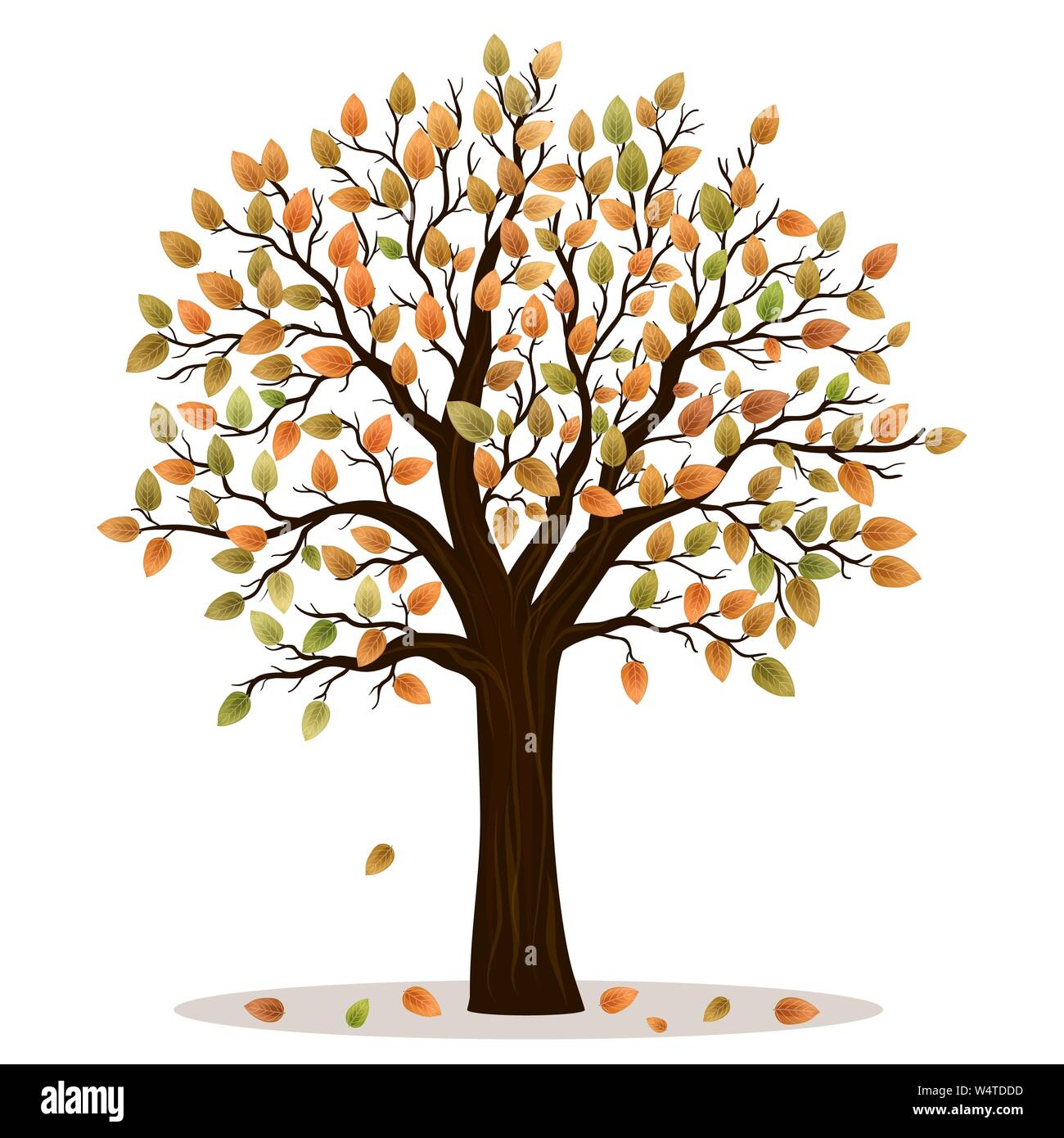 Tree vector hi-res stock photography and images - Alamy