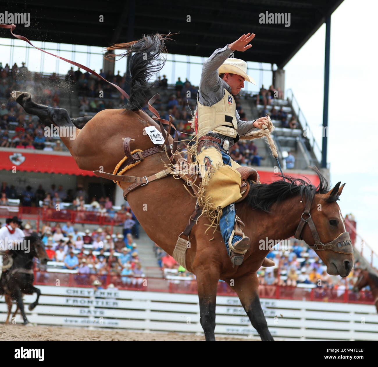 Saddle Bronc Riding High Resolution Stock Photography and Images - Alamy