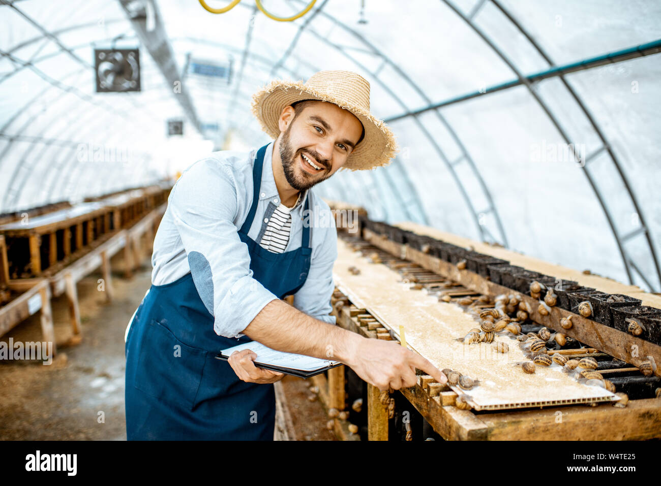 Handsome farmer taking care of snails, examining growing process in the ...