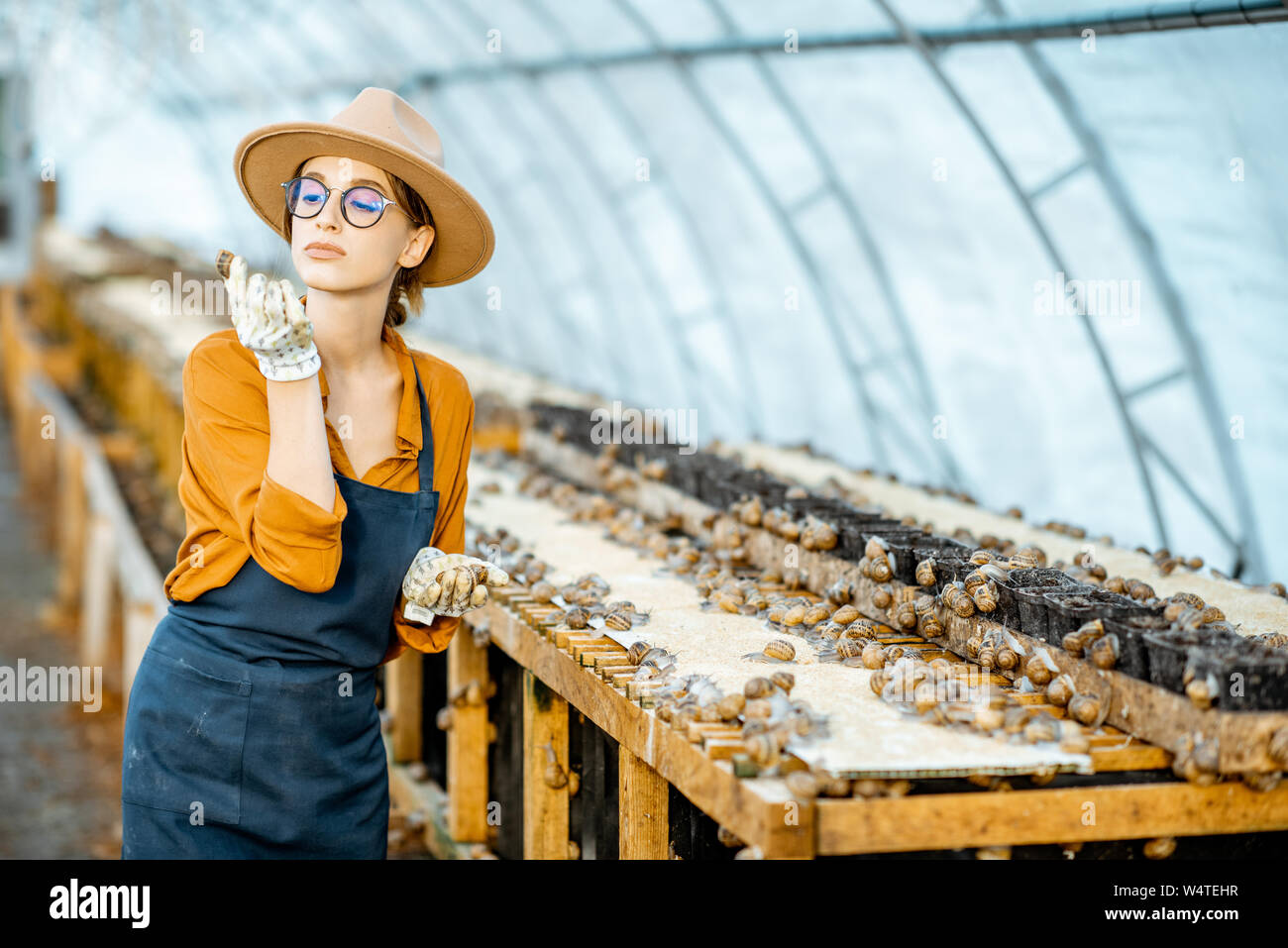 Woman farmer taking care of snails, examining growing process in the ...