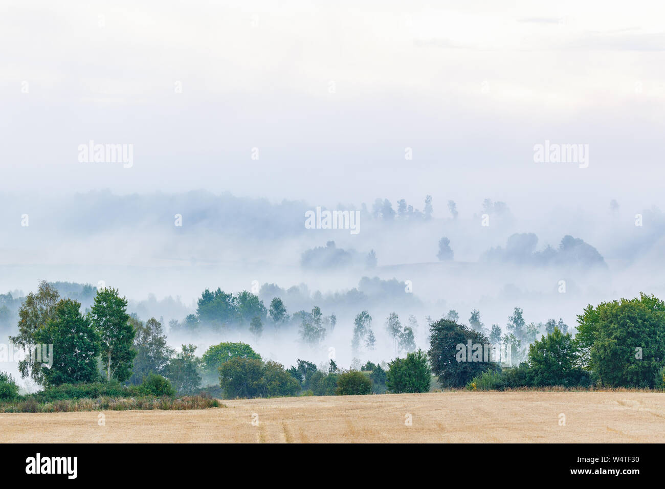 Stubble field in morning mist hi-res stock photography and images - Alamy