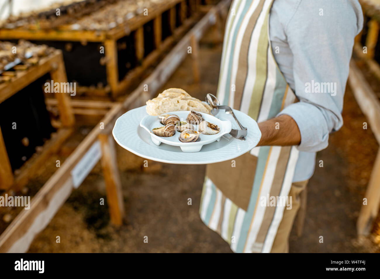 Cooked snails hi-res stock photography and images - Alamy