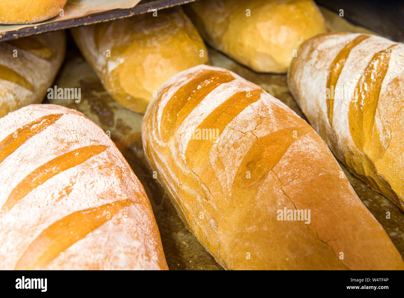 bread bakery food factory production with fresh products prepare to ...
