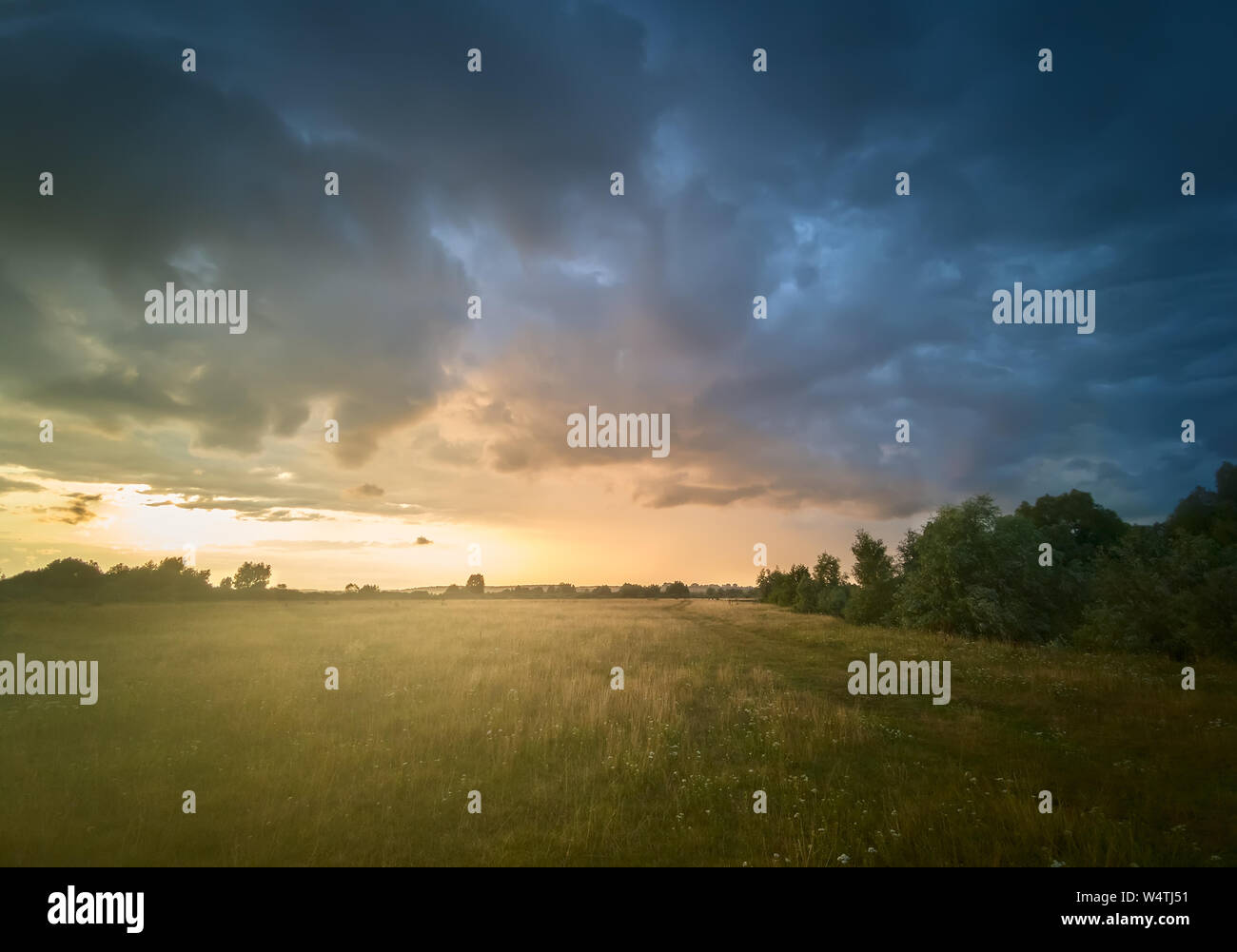 Evening landscape with field and forest edge at sunset. The sky is ...