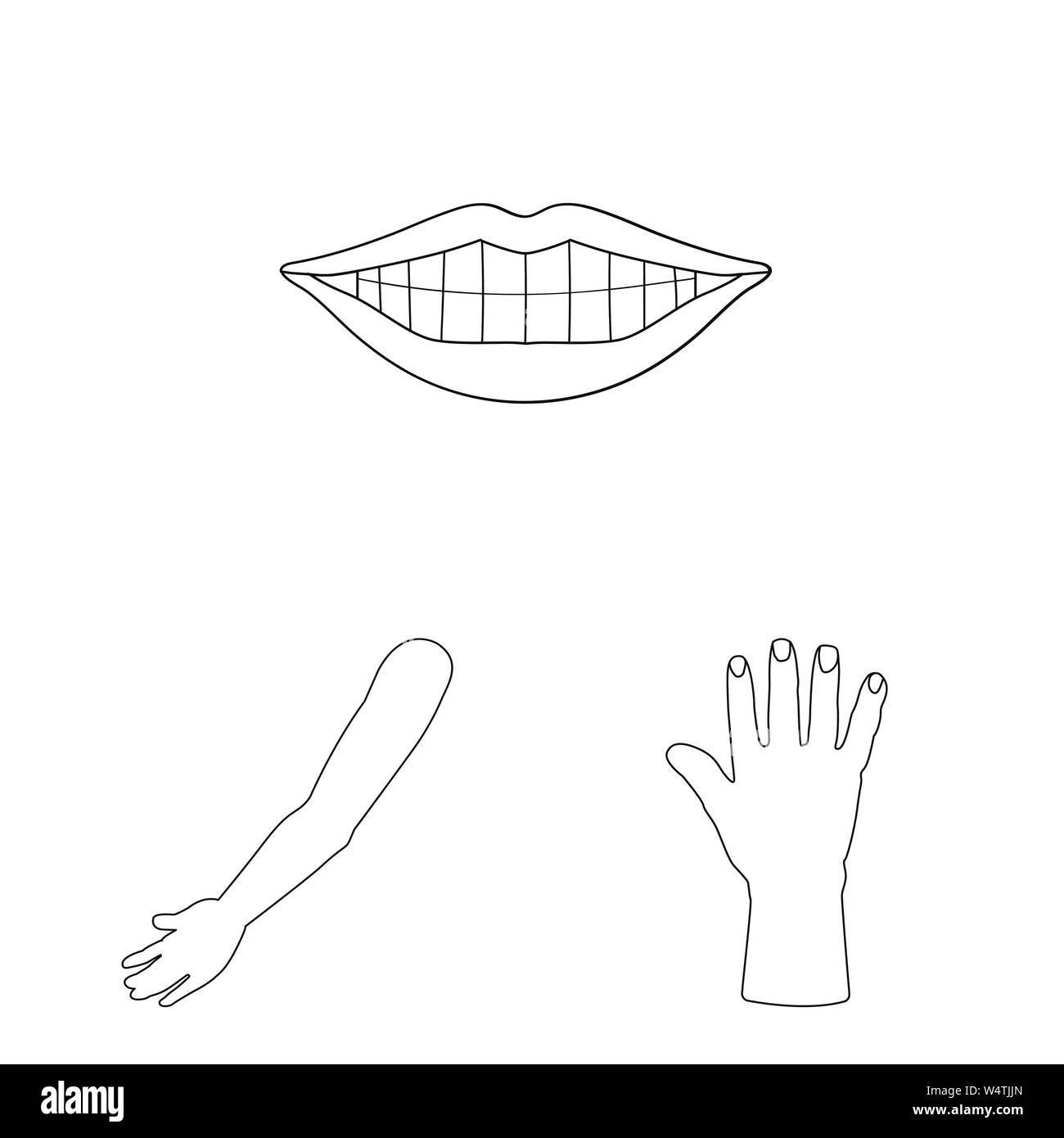 Isolated object of body and part icon. Collection of body and anatomy ...
