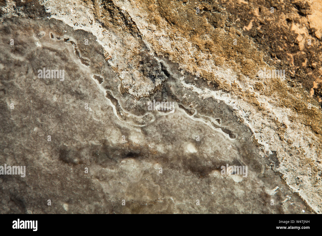 Dried out sea hi-res stock photography and images - Alamy