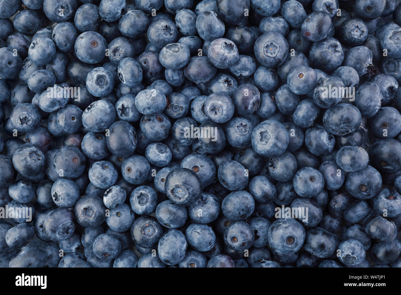 Grocery hi res hi-res stock photography and images - Alamy