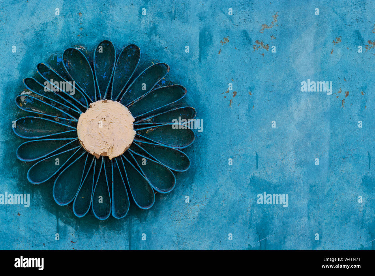 Iron flower Daisy on blue background close up Stock Photo - Alamy